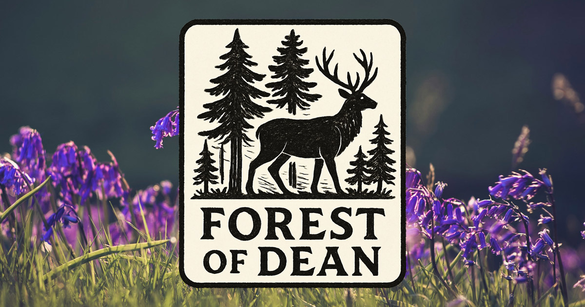 The Forest of Dean | Visit the forest of Dean, small businesses ...